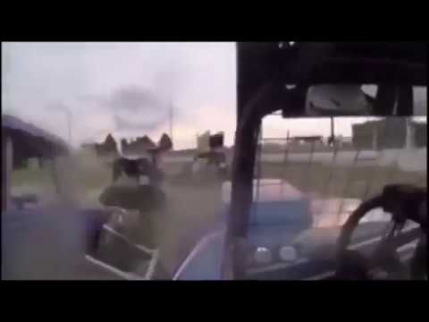 Caleb Ireland 19B Stockcar **EDIT** - YouTube