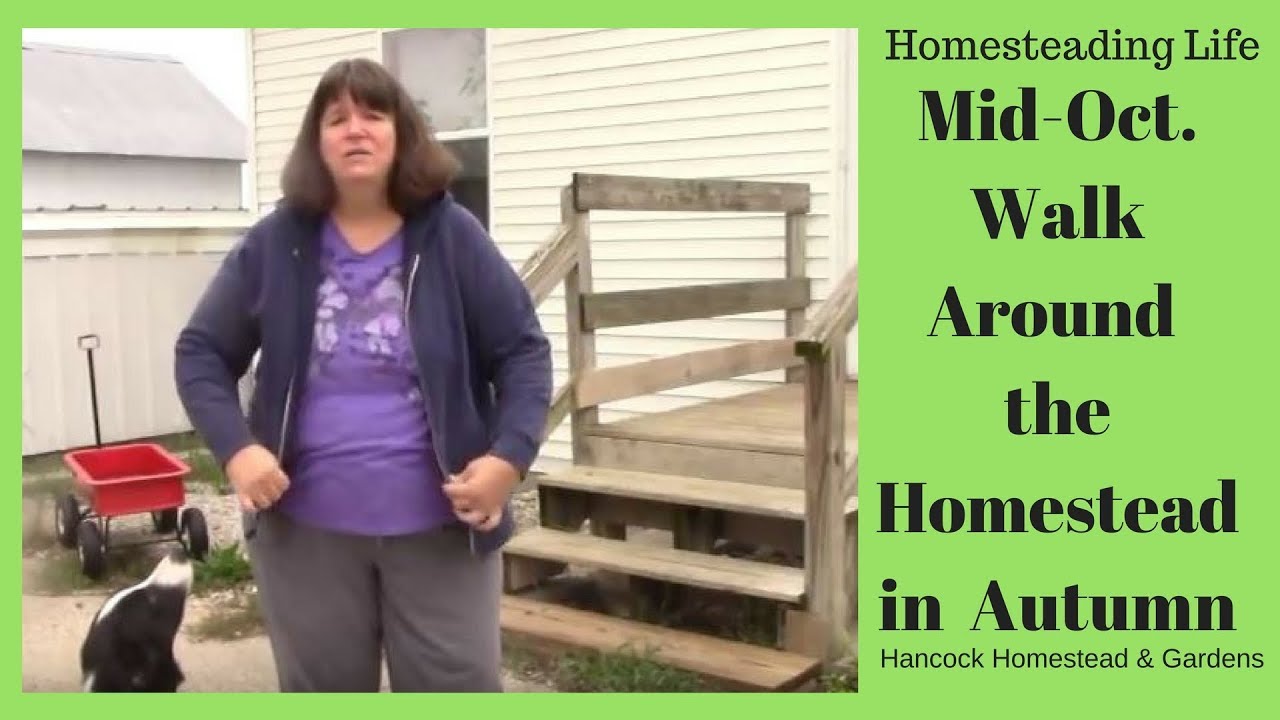 Homesteading Lifestyle: Mid-Oct. Walk Around the Homestead in Autumn ...