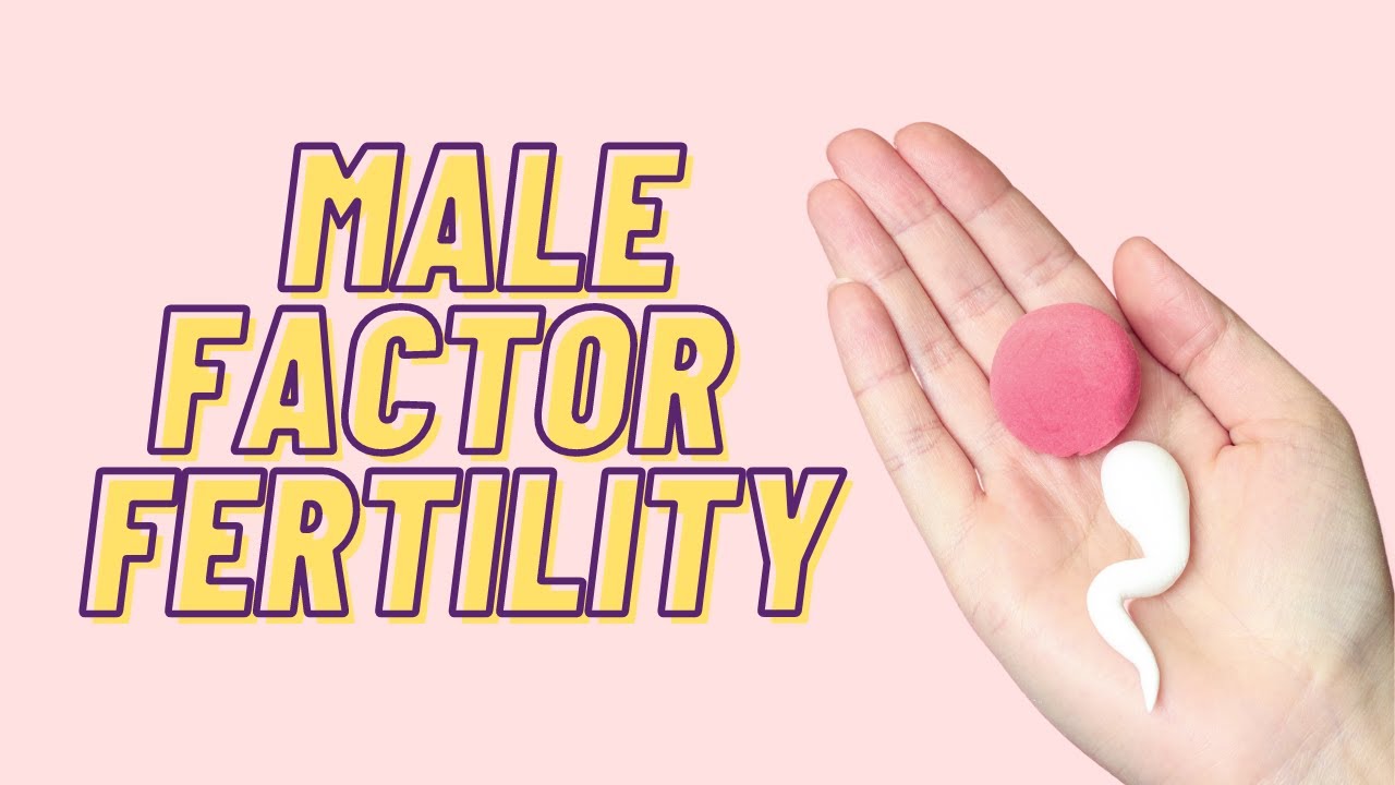 How Male Factor Fertility Affects Your Road To Pregnancy - YouTube