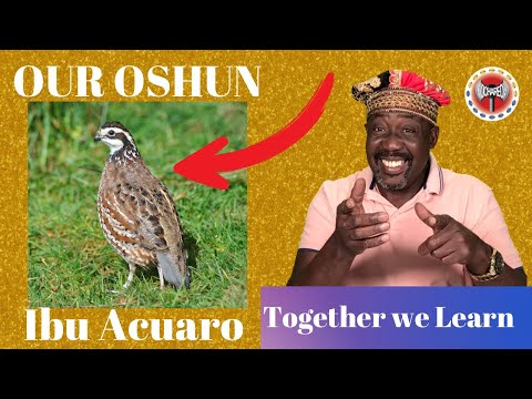 OSHUN IBU ACUARO Together we learn one of the beautiful path of Oshun