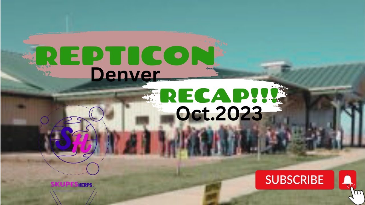Reptile Expo Repticon - YouTube