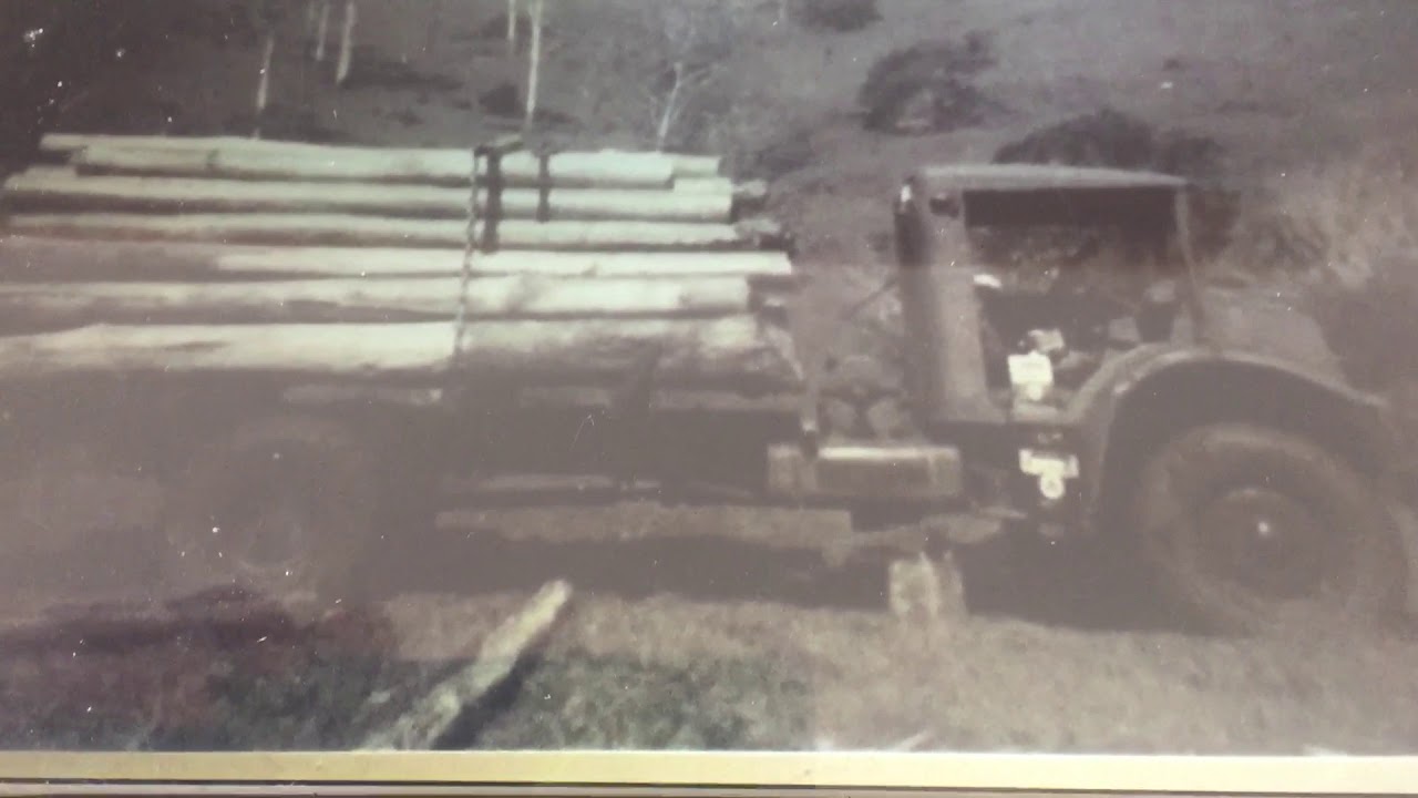 George and Betty Diefenbach logging Family off the Blackall Range ...