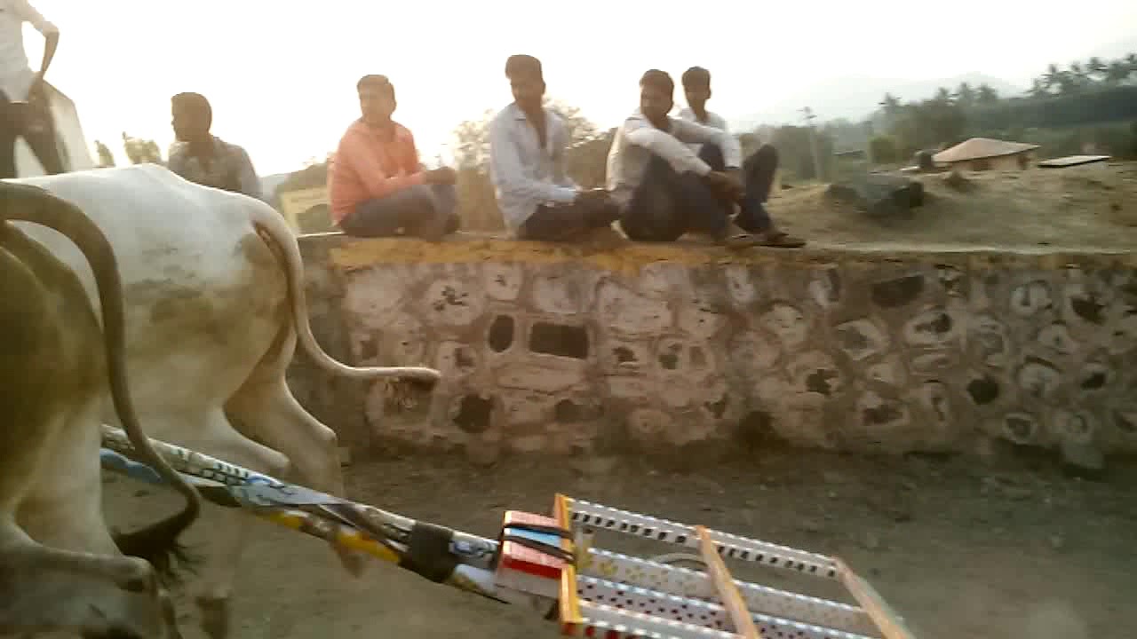 Bail gada shayrt - YouTube