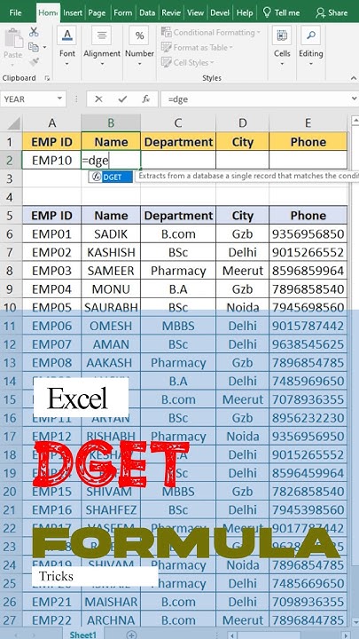How to apply DGET Formula in Ms Excel - Ms Excel formula -# ...