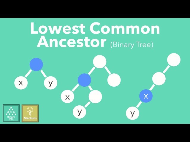 Common Ancestor Binary Tree