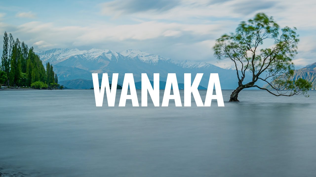 EL ÁRBOL MÁS FAMOSO DEL MUNDO 🌳 | NUEVA ZELANDA #7 🇳🇿|| Comiviajeros ...