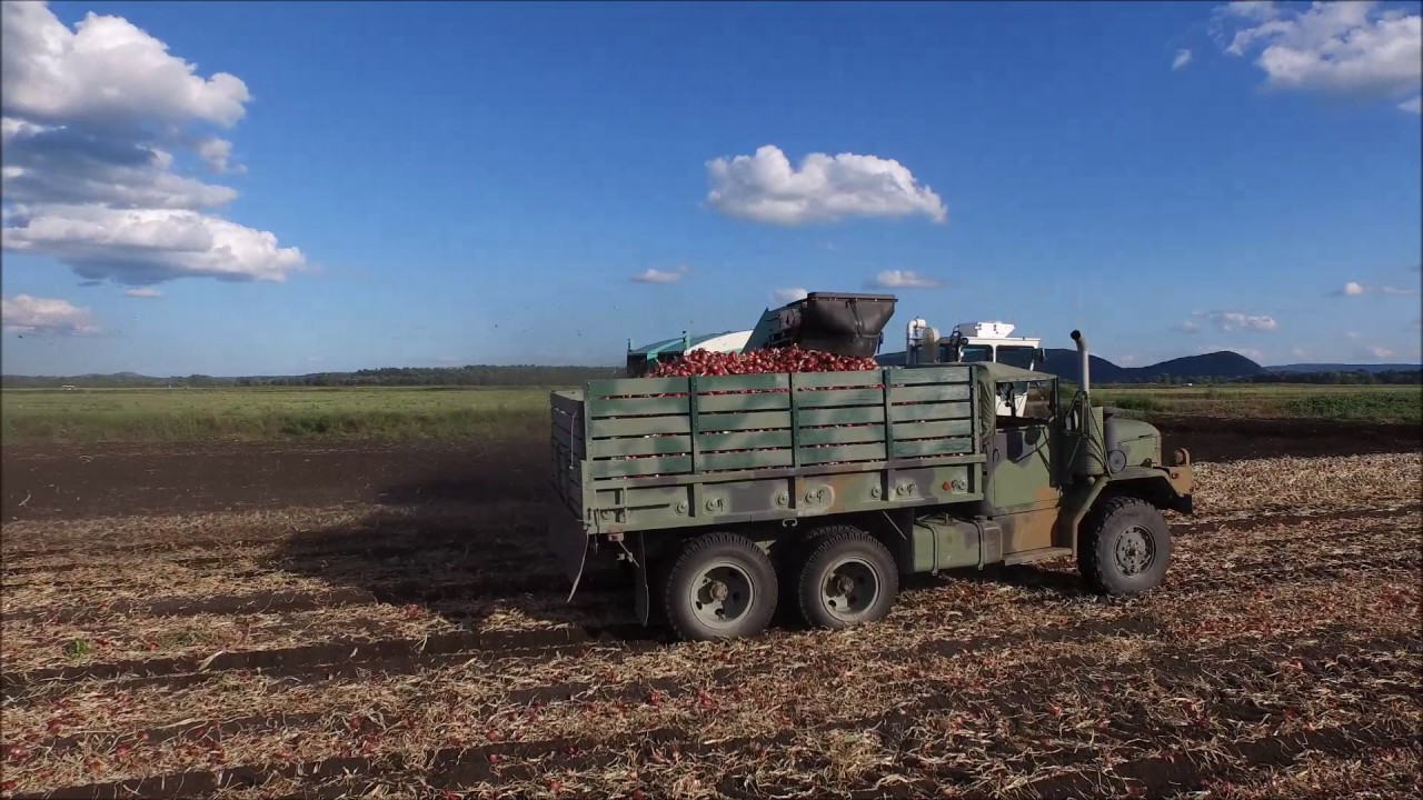 Rick Minkus Farms Harvest 2015 - YouTube