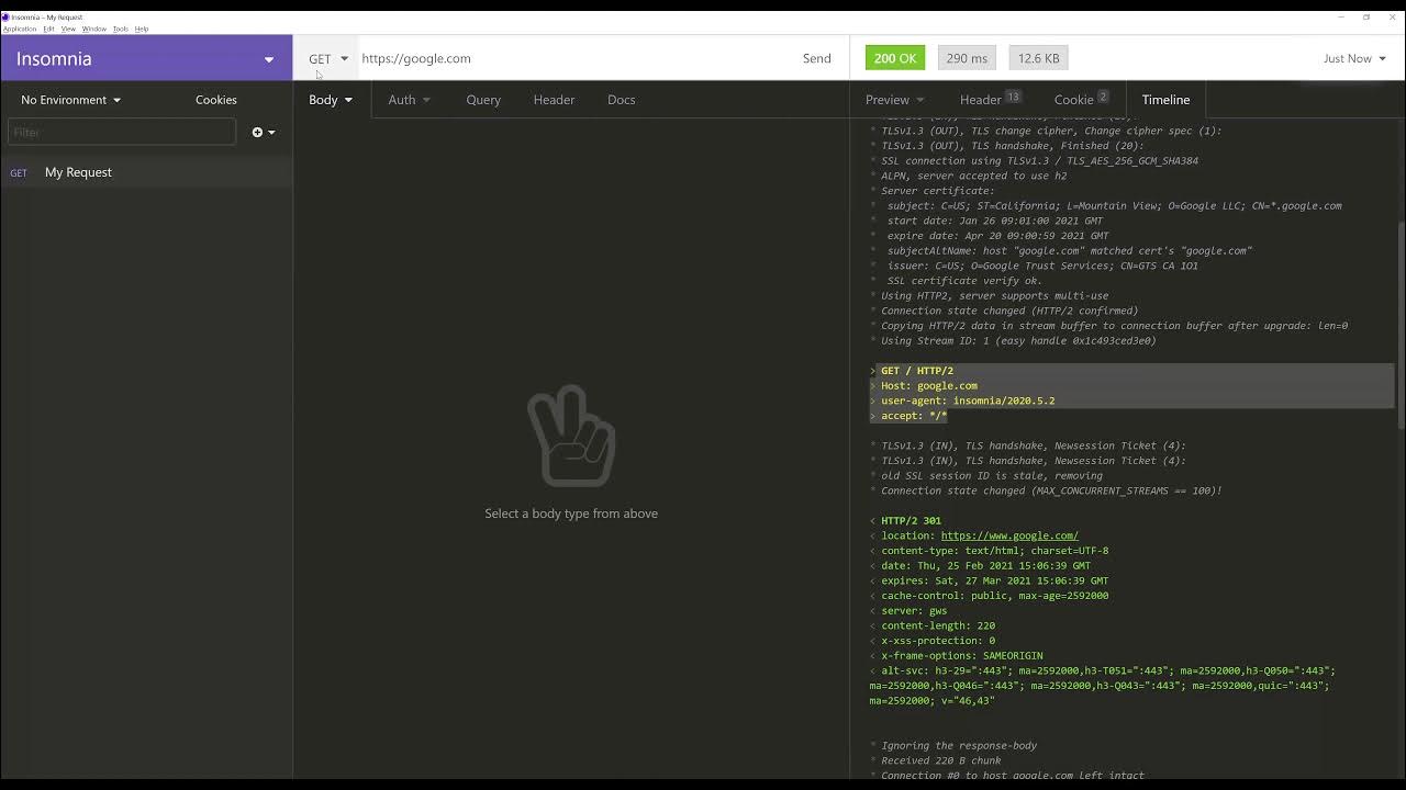Insomnia: Introduction to Insomnia Core - YouTube
