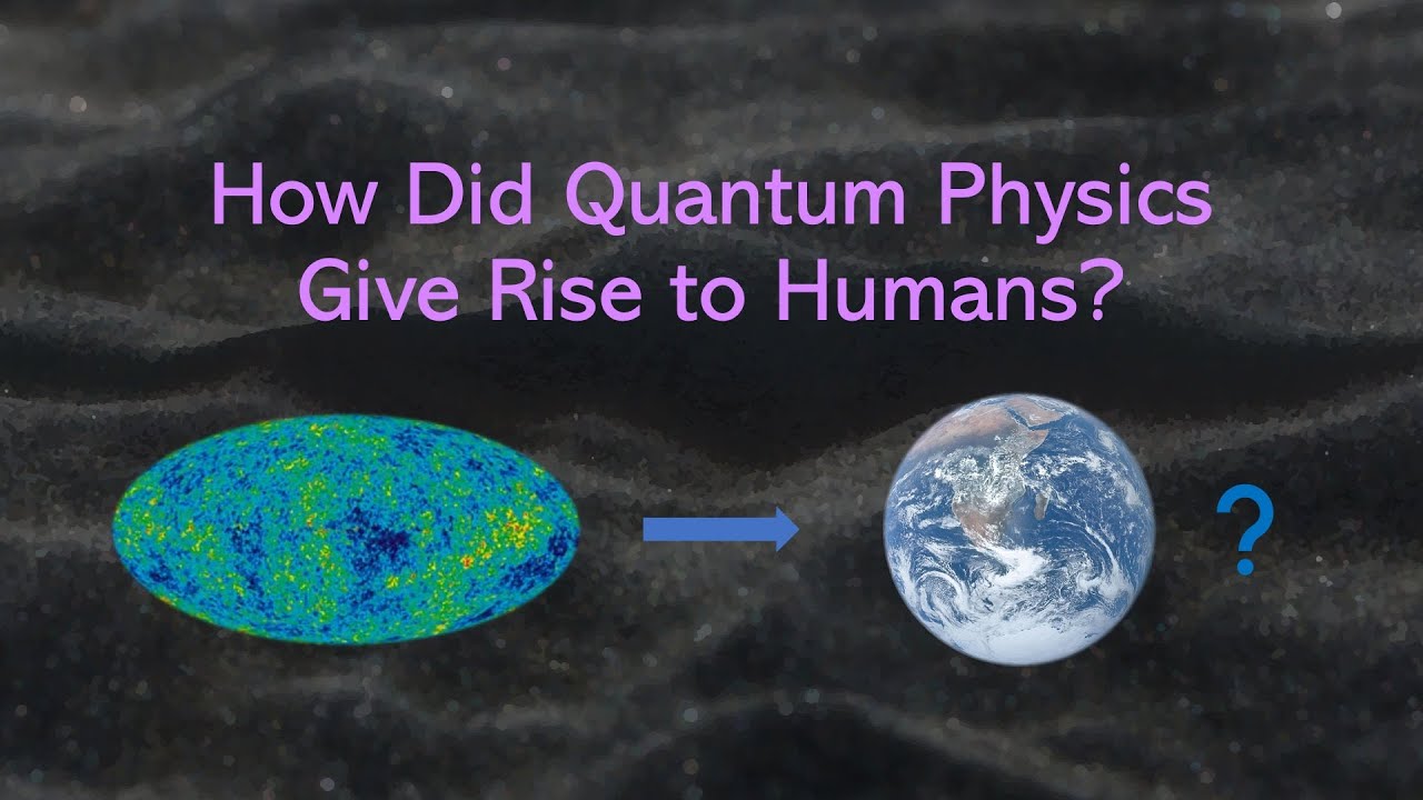 How Did Quantum Physics Give Rise to Humans? - YouTube