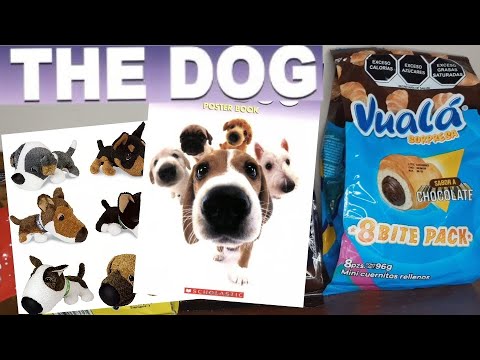 The Dog en Vuala Sorpresa? 2022 - YouTube