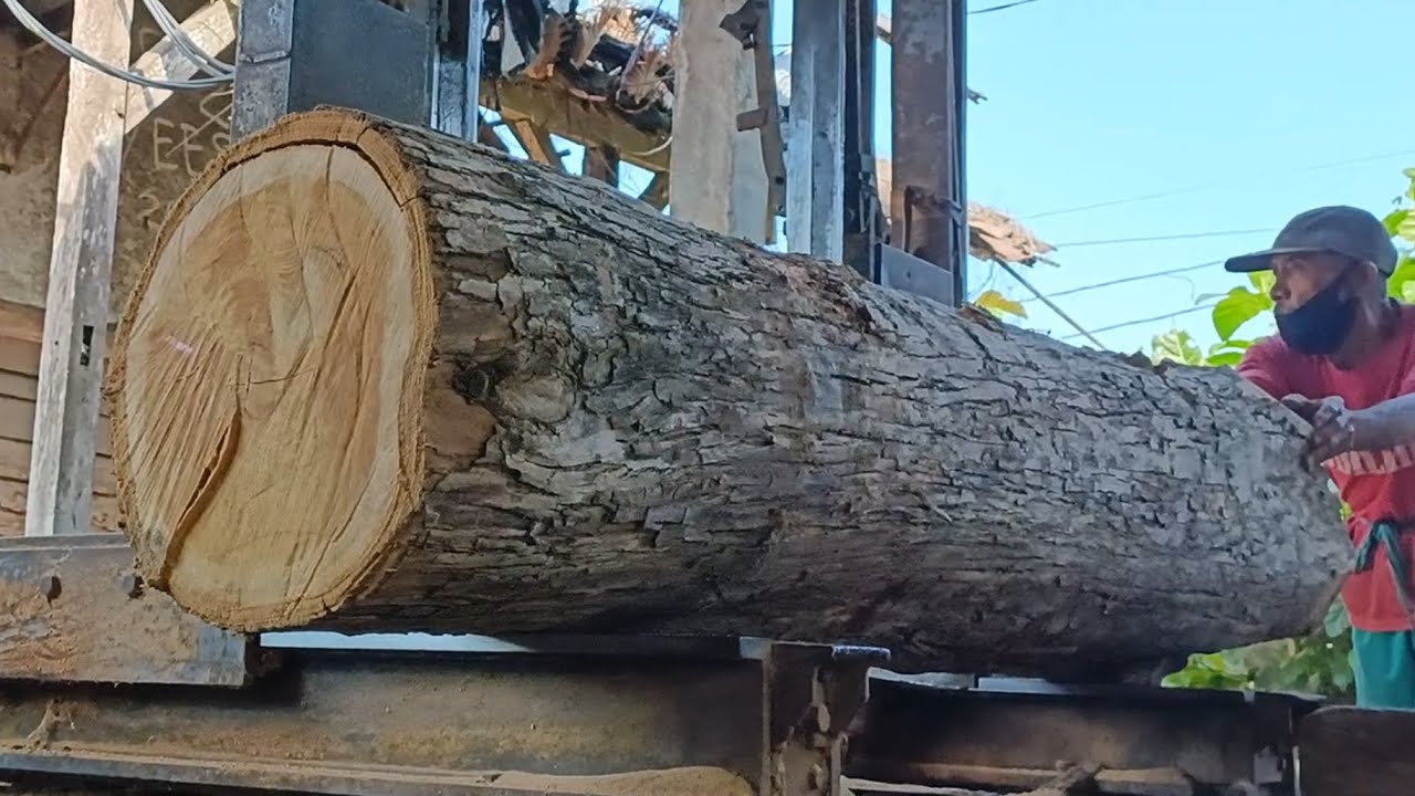 Log working project with plans to turn logs into beautiful and stunning ...