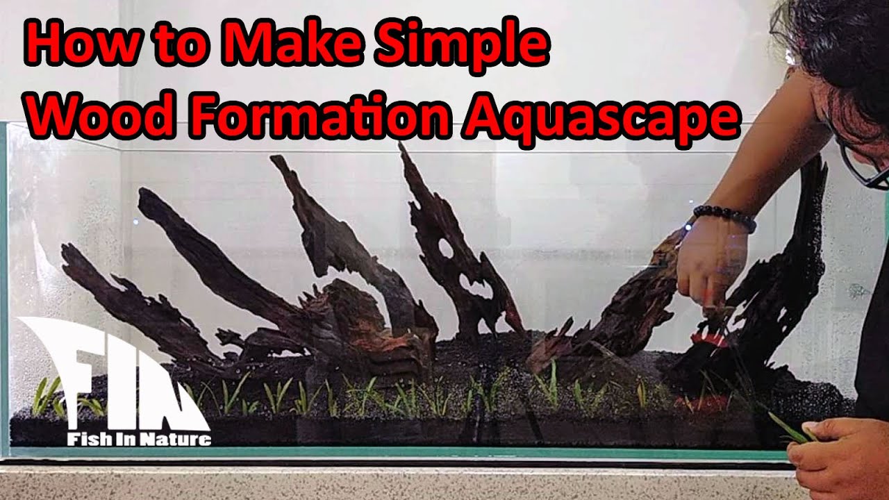 How to Make Simple Wood Formation Aquascape - YouTube