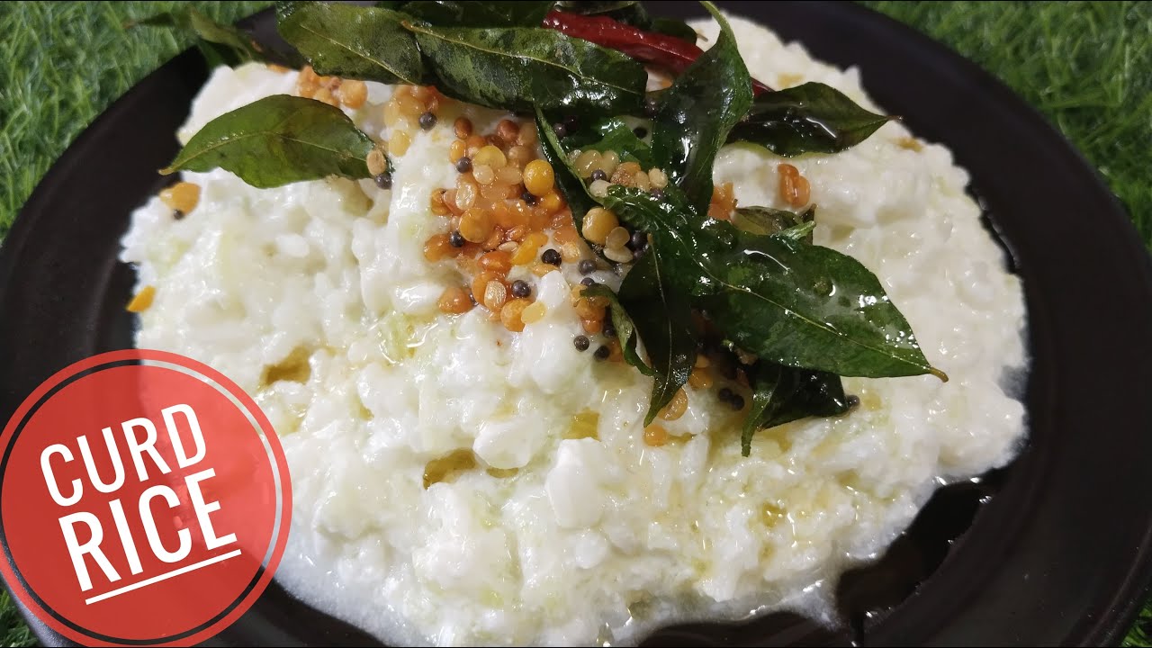 Curd Rice Recipe || Summer Special Curd Rice Recipe || How to make Curd ...