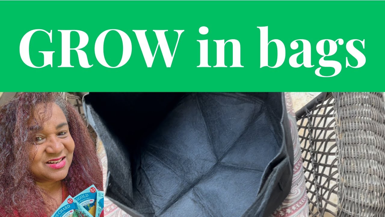 How MUCH can I grow in a 10 GALLON grow bag? - YouTube