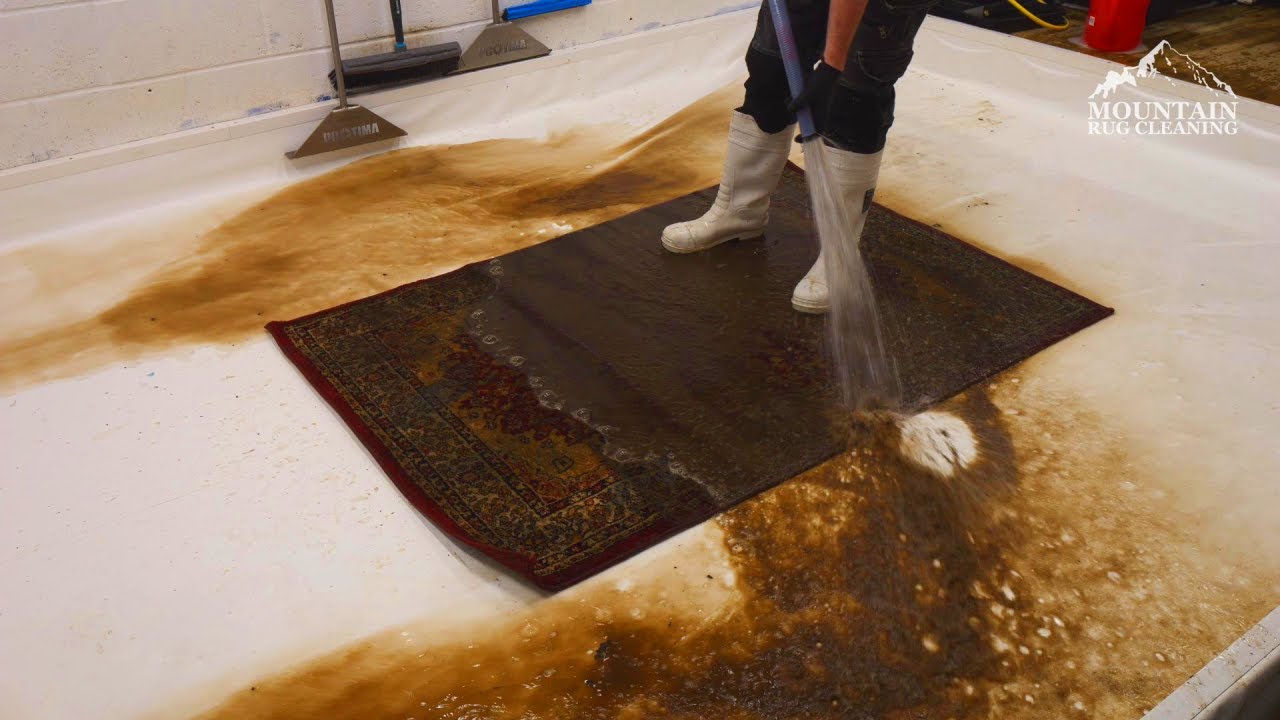 Relax and Enjoy the Soothing Sounds of Rug Cleaning ASMR | Satisfying ...