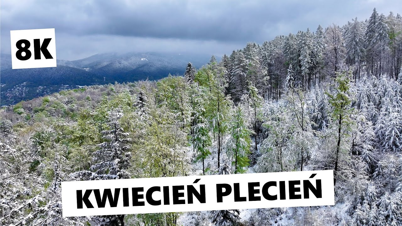Kwiecień plecień, bo przeplata trochę zimy, trochę lata [8K] - YouTube