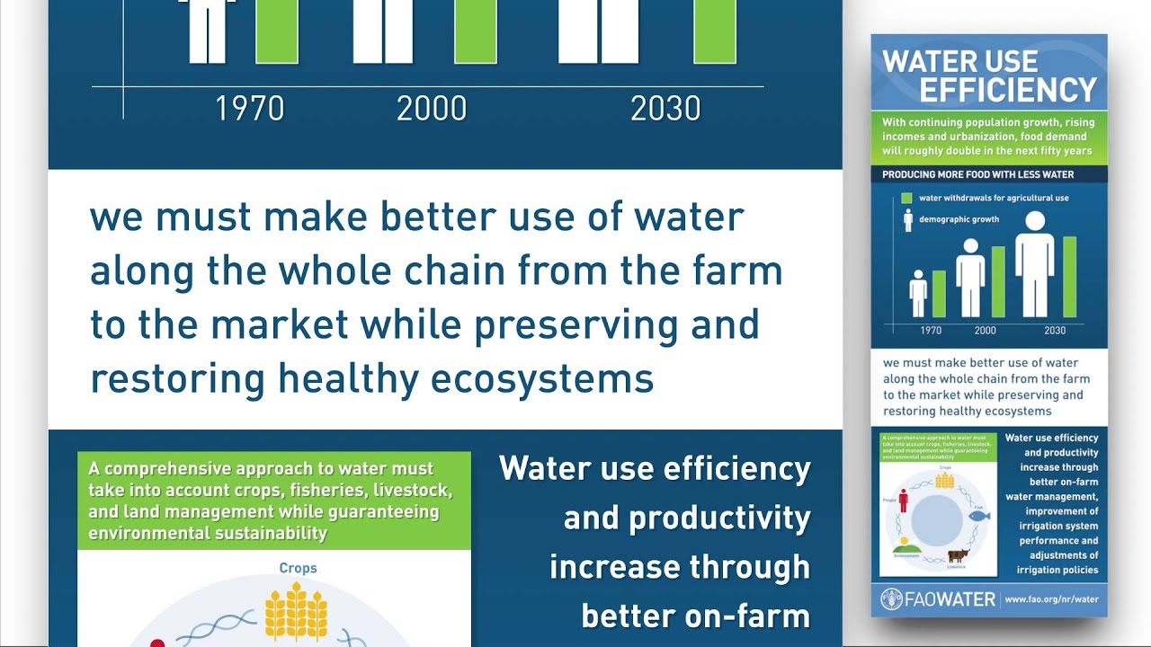 Water Use Efficiency FAO(EN) - YouTube