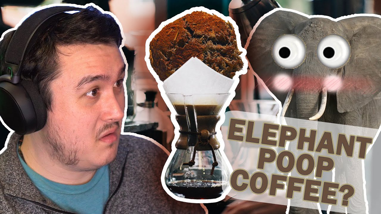 We drank elephant poop coffee?! - YouTube