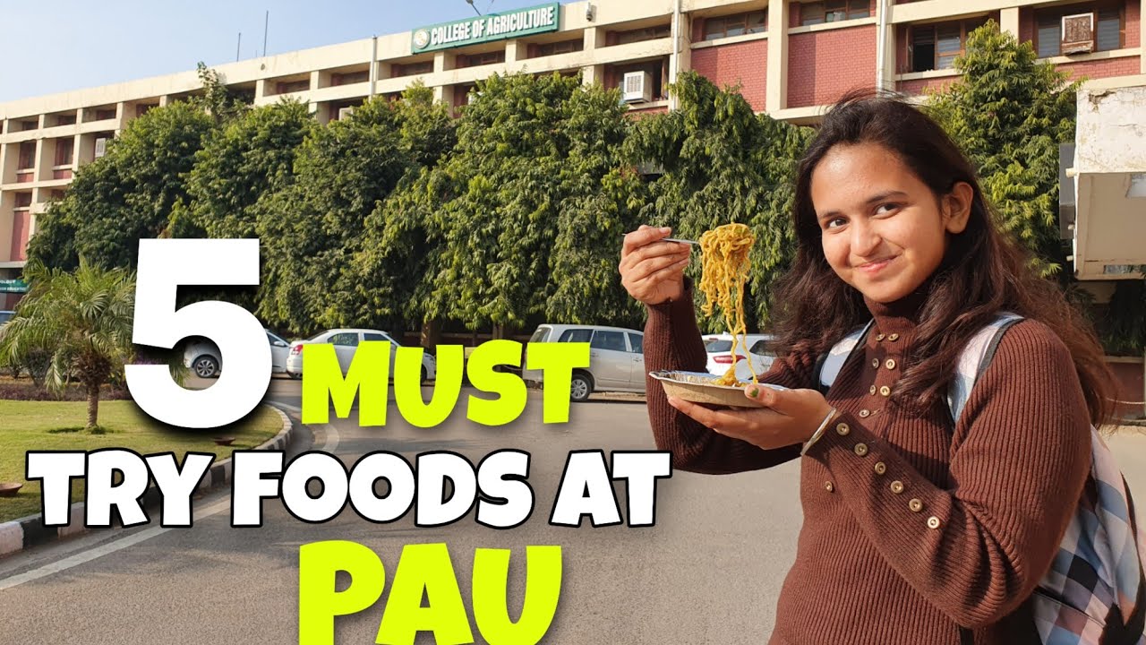 MUST TRY FOODS AT PAU LUDHIANA | FOOD REVIEW - YouTube