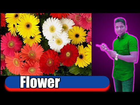 Paper Flower Pot Kaise Banaye/How to make paper flower pot//flower vase ...