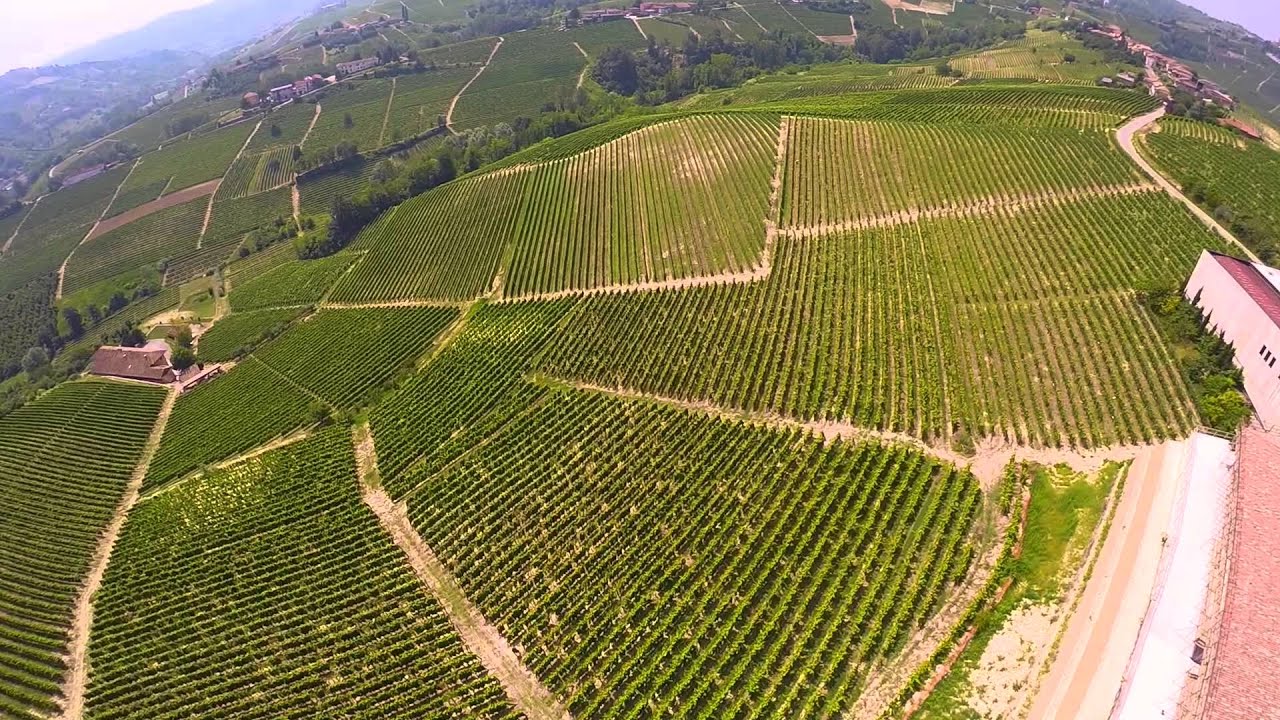 Moscato Matteo Soria - YouTube