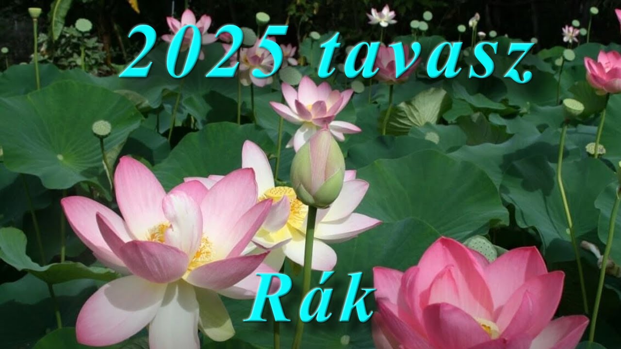 Rák - 2025 tavaszi elemzés - YouTube