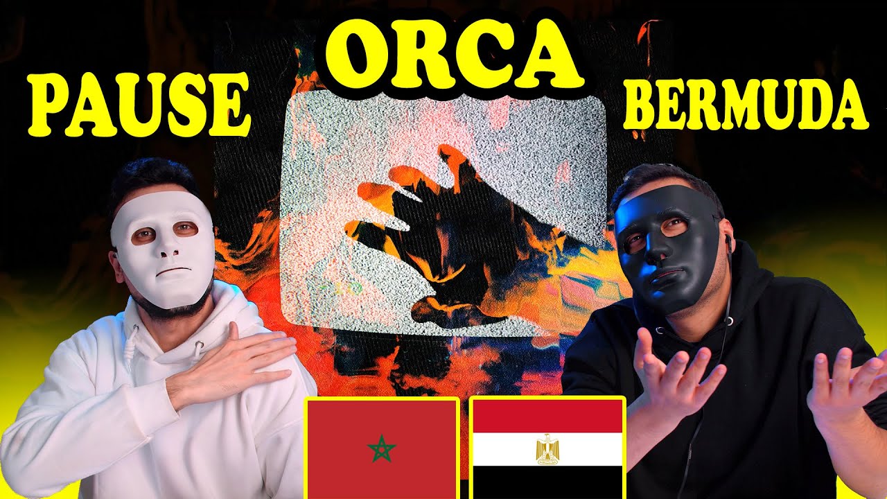 PAUSE - ORCA - BERMUDA | Egyptian Reaction - YouTube