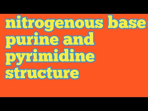 nitrogenous base/purine and pyrimidine structure # csir net life ...