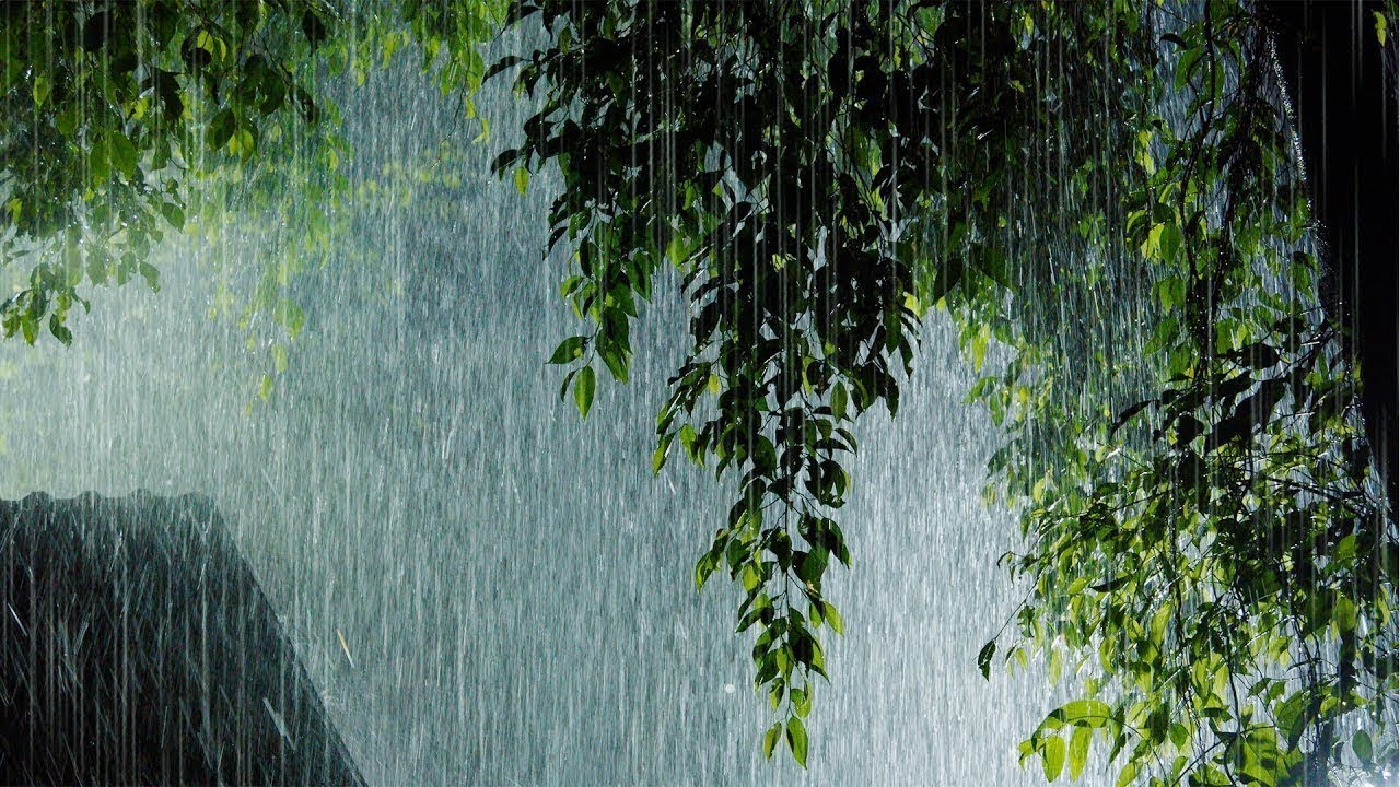 Wonderful Deep Sleep on Rainy Night | Heavy Pouring Rain & Loud Thunder ...