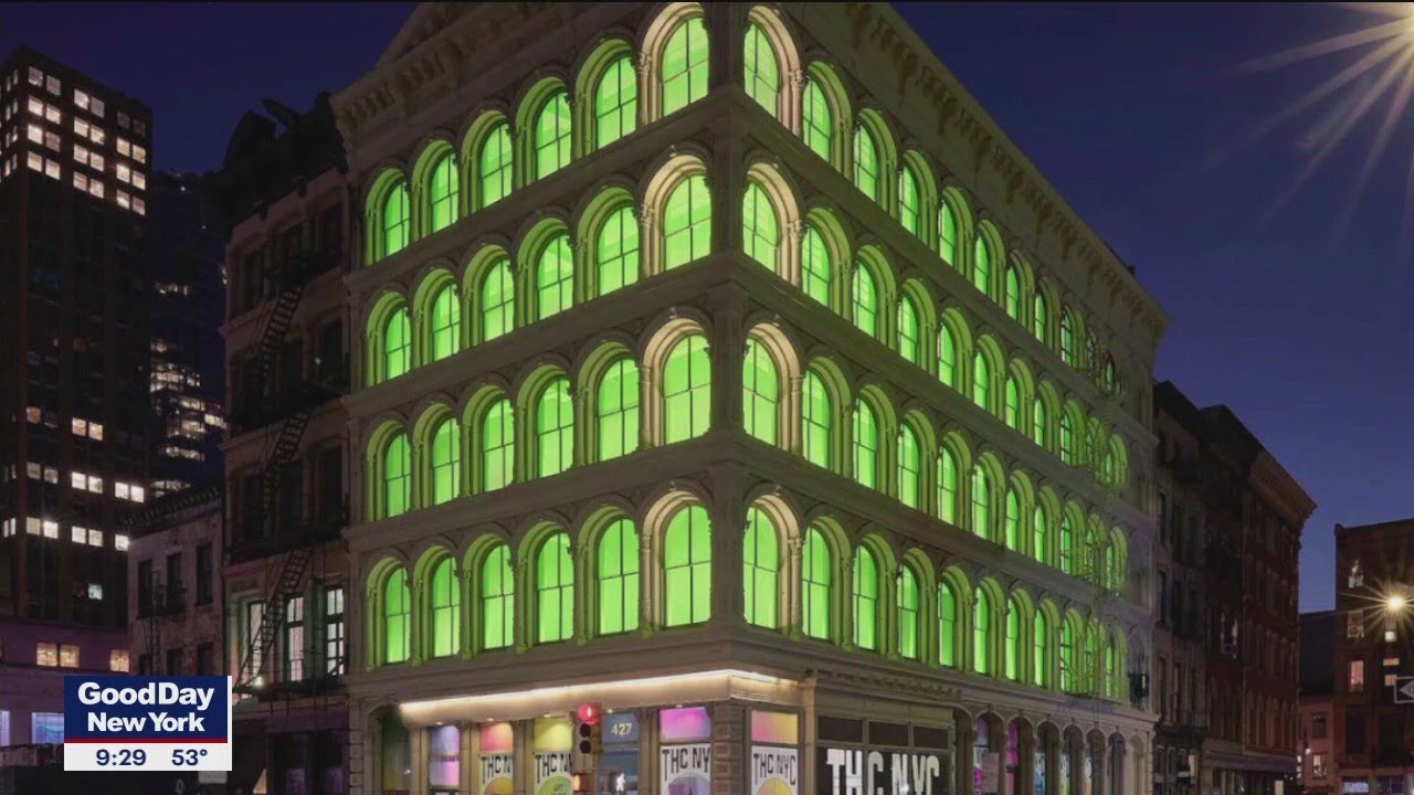 THC NYC: A look inside New York's new immersive weed museum - YouTube