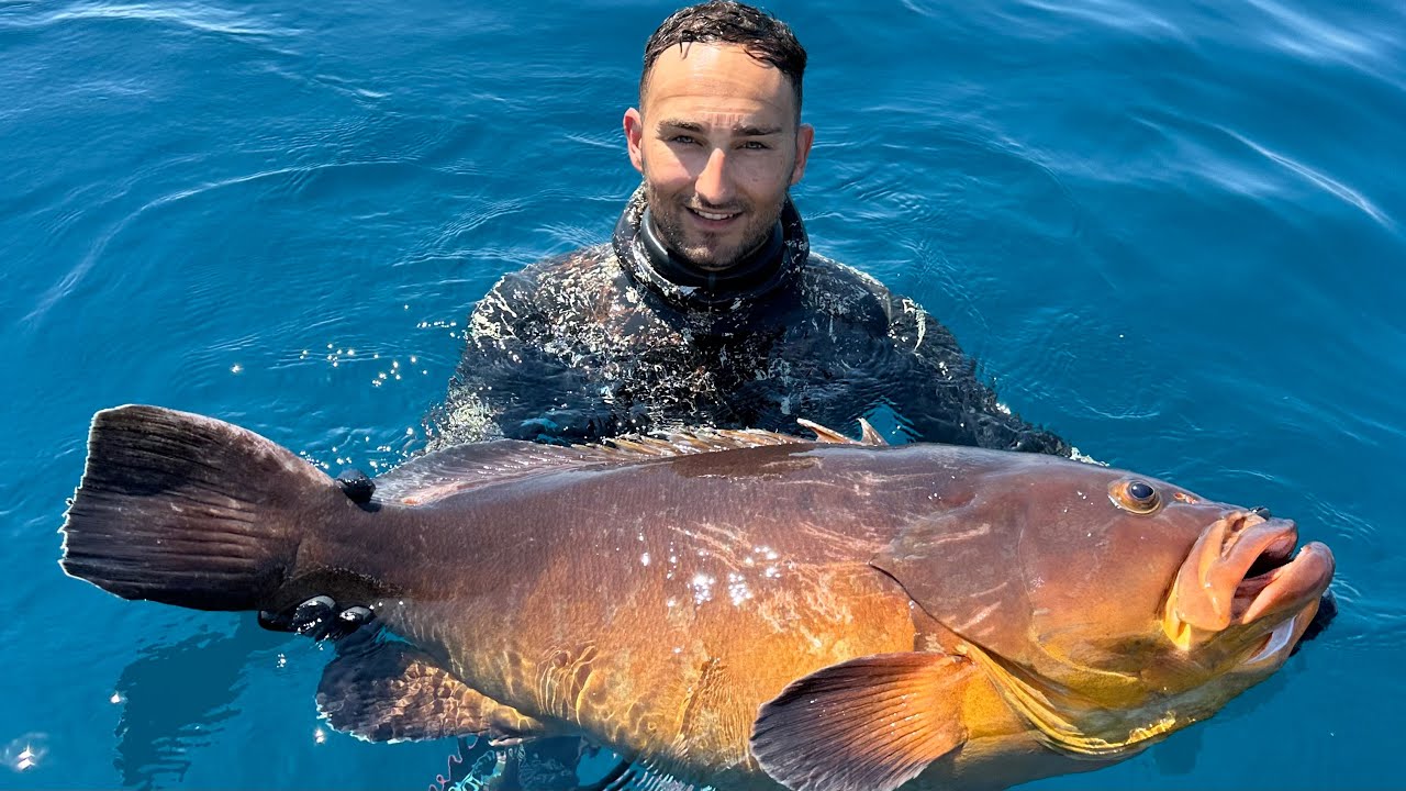 Ψαροντουφεκο 🔱 ΡΟΦΟΣ 23kg-Spearfishing 🔱Dusky Grouper 23kg - YouTube