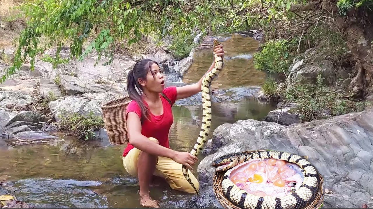 Wow Brave Girl Catch Snake and Cooking Soup for Survival Food in the ...