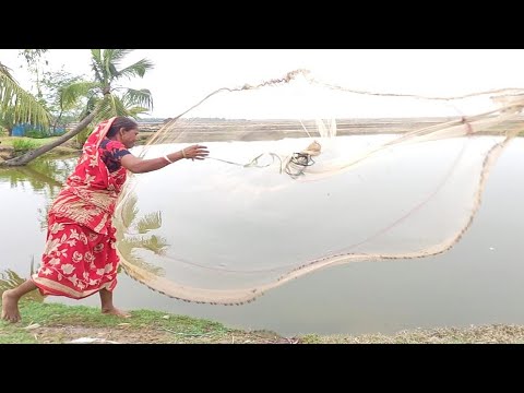 Amazing village women net fishing | Big catch | Net casting video - YouTube