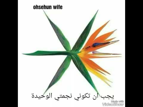 Exo forever arabic sub