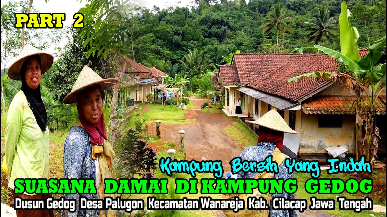 SUASANA DAMAI DAN SEJUK DIKAMPUNG GEDOG BARAT DESA PALUGON WANAREJA ...