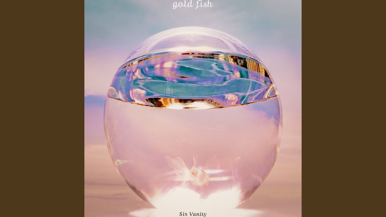 goldfish - YouTube