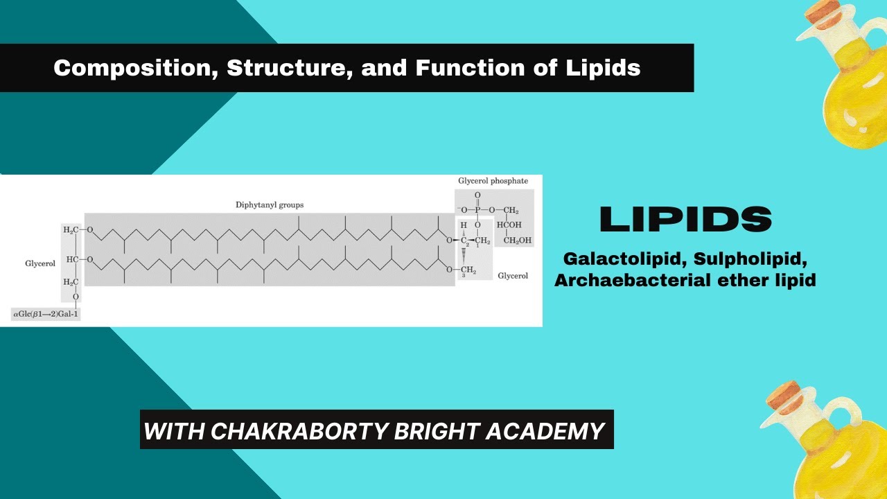 Lipids II Galactolipid, Sulpholipid, Archaebacterial Ether Lipid - YouTube