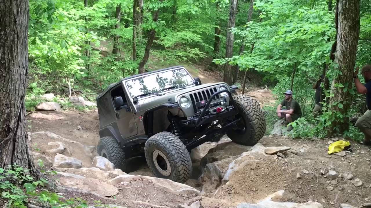 Trailfest 2016 AOP Trail 54 - YouTube