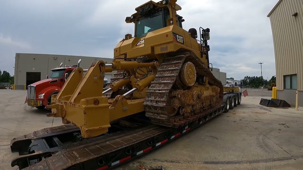 Who wants to meet the D9?! - YouTube