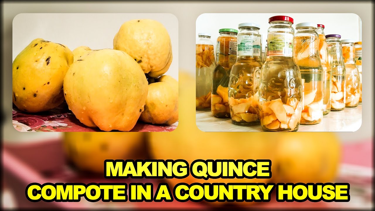 Making Quince Compote İn a Country House / Приготовление компота из ...