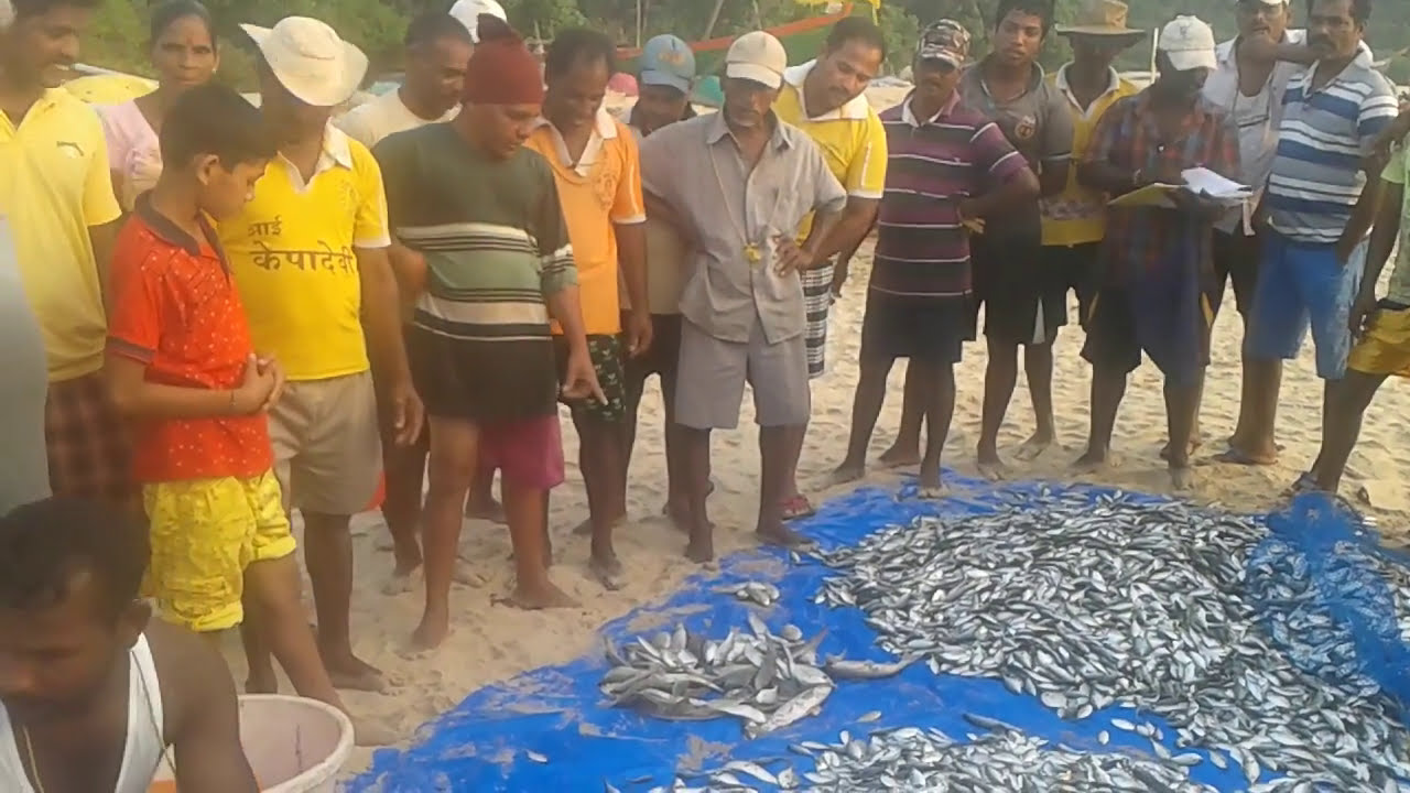 Vengulyachi Rapan (Fresh seafood) - YouTube