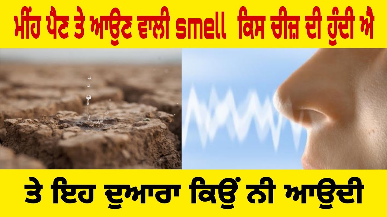 ਮੀਂਹ ਪੈਣ ਤੇ ਜਿਹੜੀ Smell ਆਉਦੀ ਐ ਉਹ ਕਿਸ ਚੀਜ਼ ਦੀ ਹੁੰਦੀ ਐ, ਪਰ ਦੁਆਰਾ ਪਾਣੀ ...