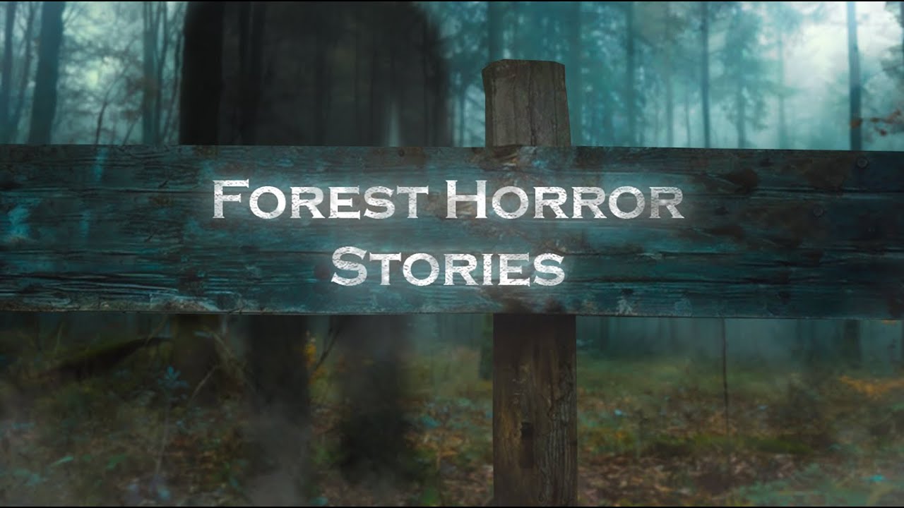 Scary True Forest Horror Stories | Whispers in the Dark - YouTube
