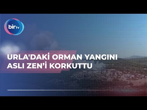 URLA'DAKİ ORMAN YANGINI ASLI ZEN’İ KORKUTTU