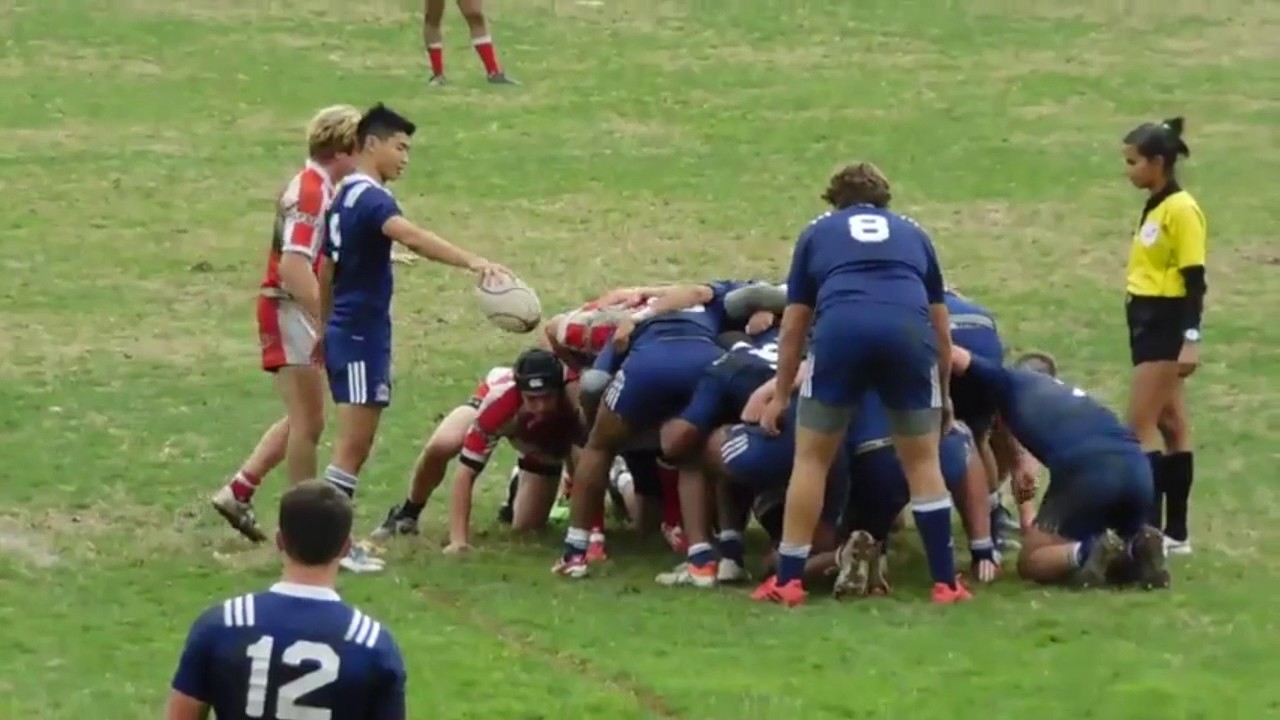 rugby highlights - YouTube
