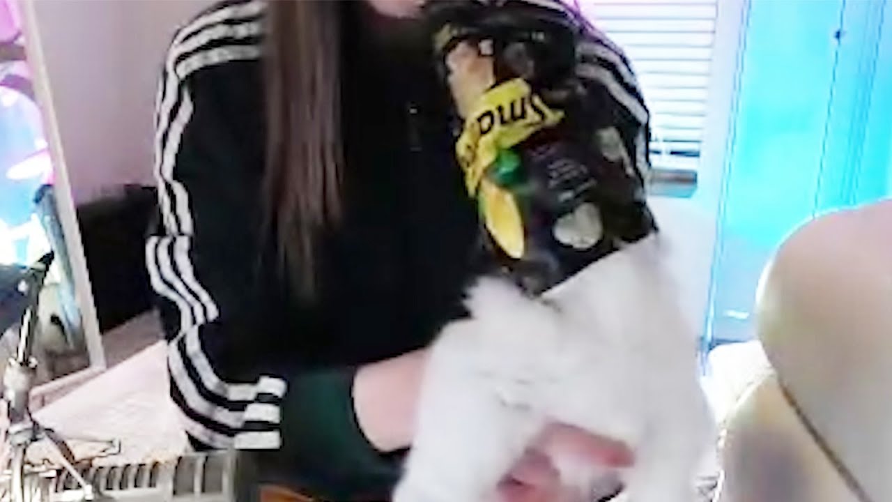 Help Step Bro Im Stuck Youtube 2111
