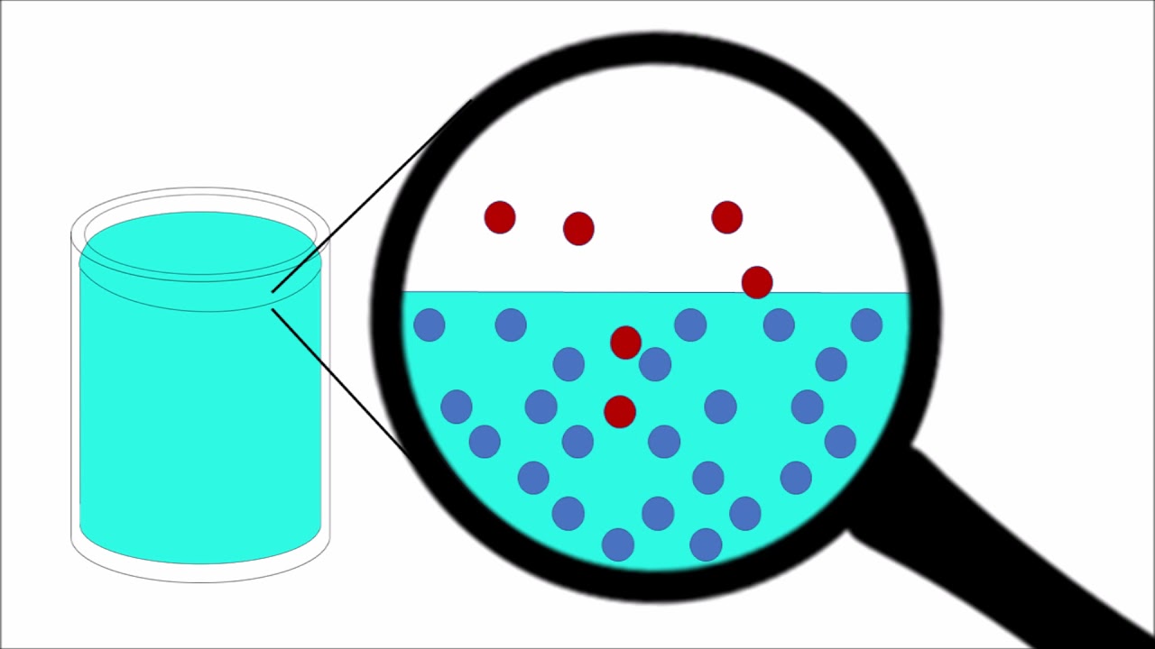 Verdunsten von Wasser - Erklärung - YouTube