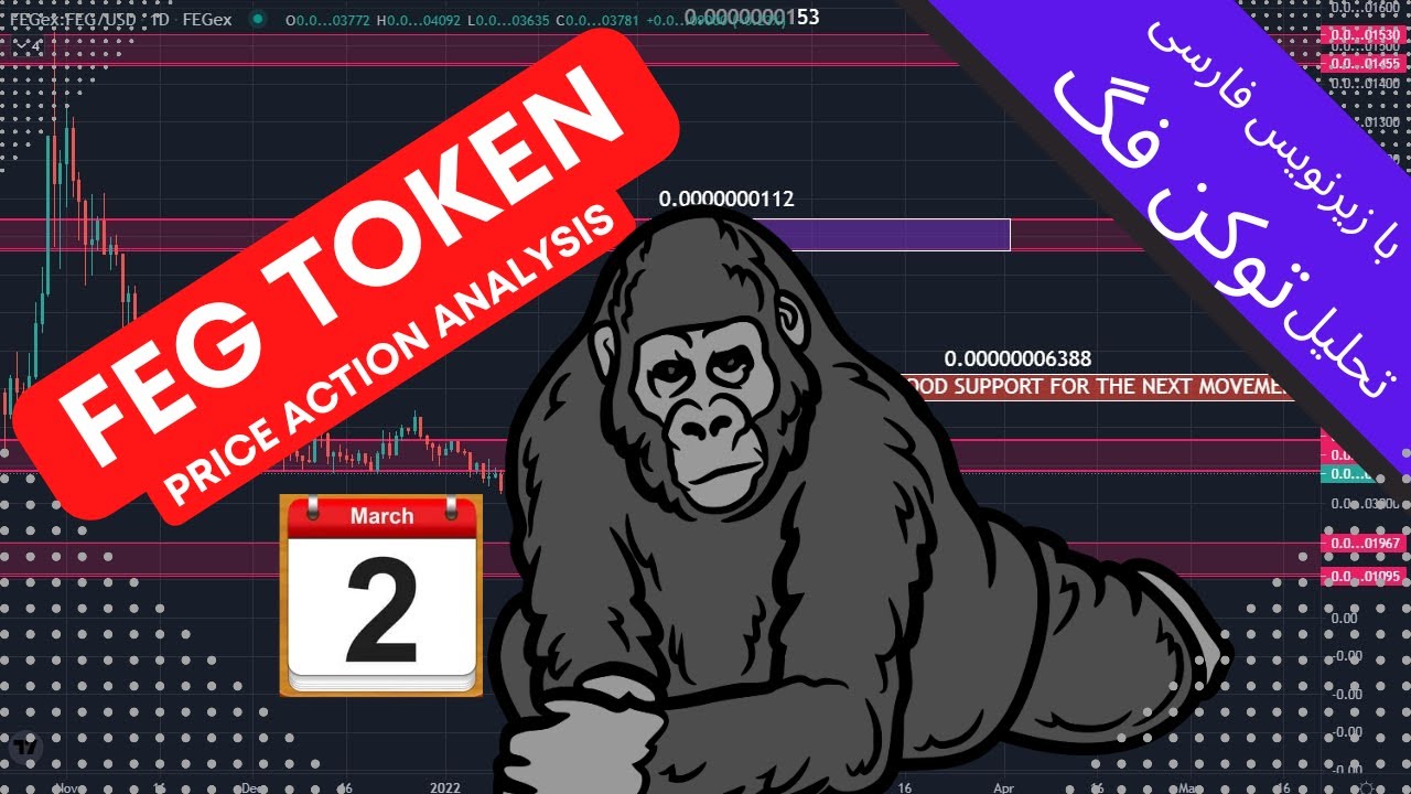 Predicting the next move of Feg token: Can Feg token pump? Price Action ...