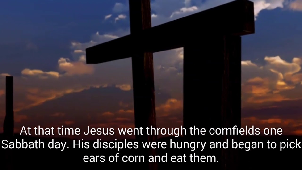 MATTHEW 12:1-8 FRIDAY REFLECTION - YouTube