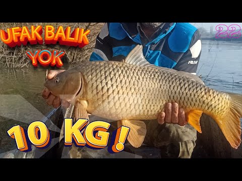 ASKIDA SAZAN AVI-YAYIN AVI-BALIK AVI-SERPME İLE BALIK AVI